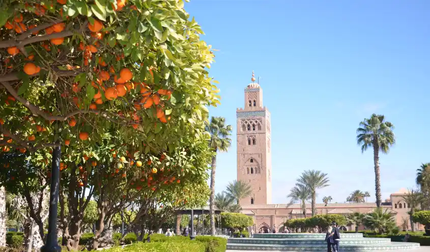 Marrakech Sightseeing Tour: Full day - On Morocco Tours